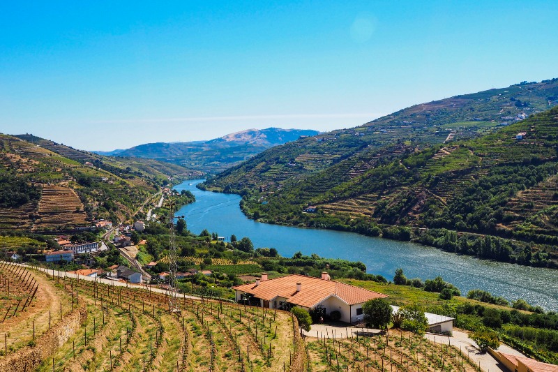Visiting the magnificent Douro Valley – Carrots and Tigers