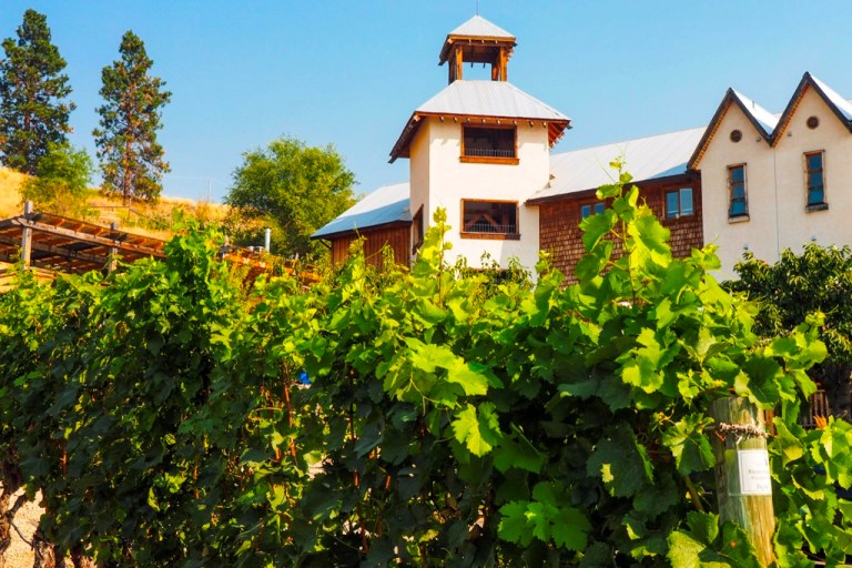 Visiting these Okanagan Valley wineries will blow you away – Carrots ...