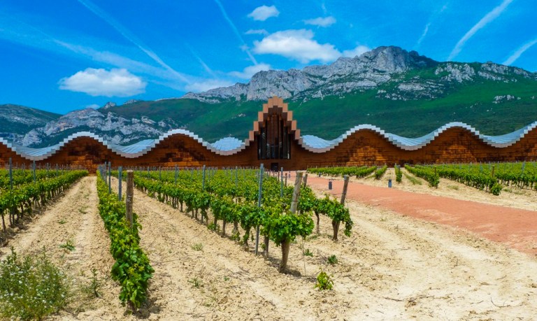 Visit these spectacular wineries in La Rioja – Carrots and Tigers