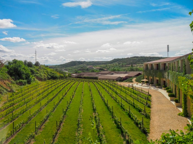 A guide to visit La Rioja in Spain – Carrots and Tigers