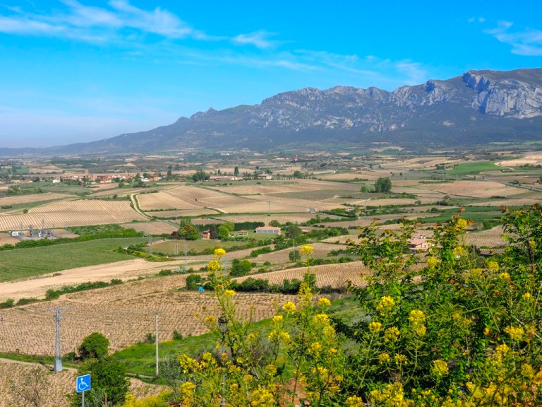 A guide to visit La Rioja in Spain – Carrots and Tigers