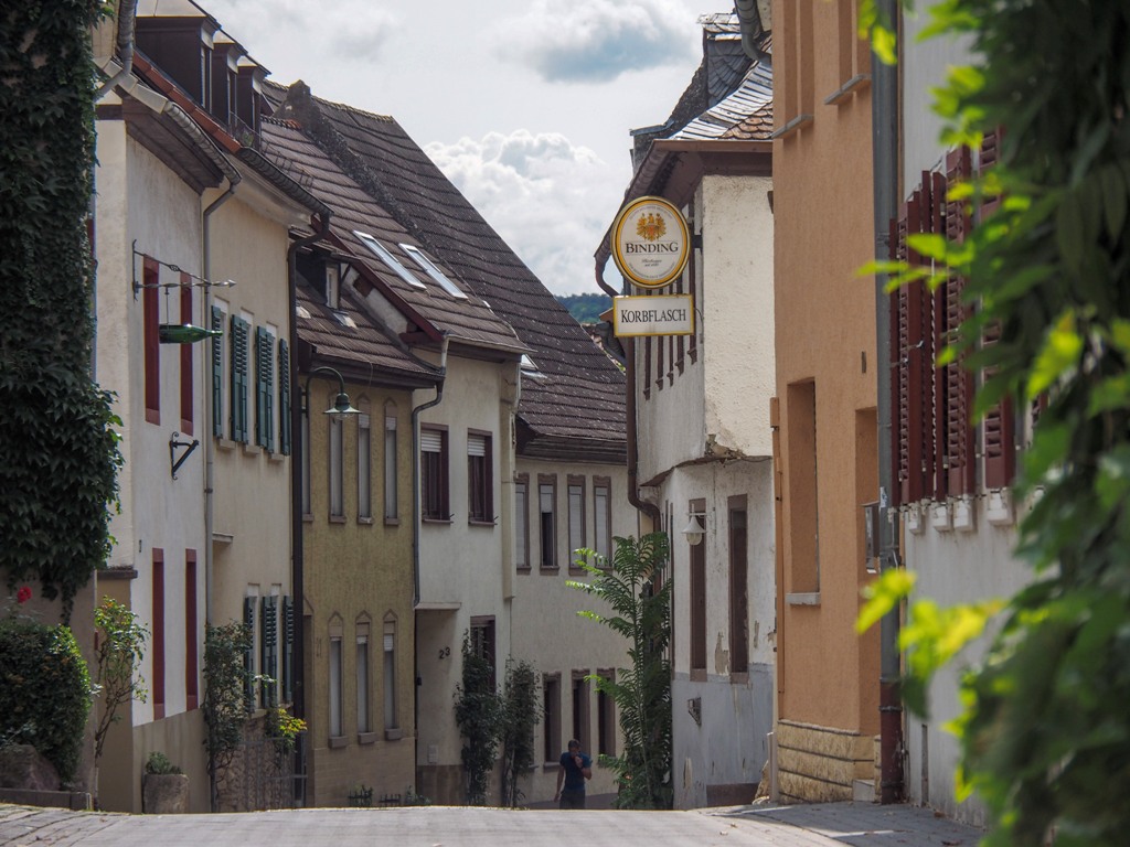 A visit to Ingelheim, the red wine hotspot of Rheinhessen and its ...