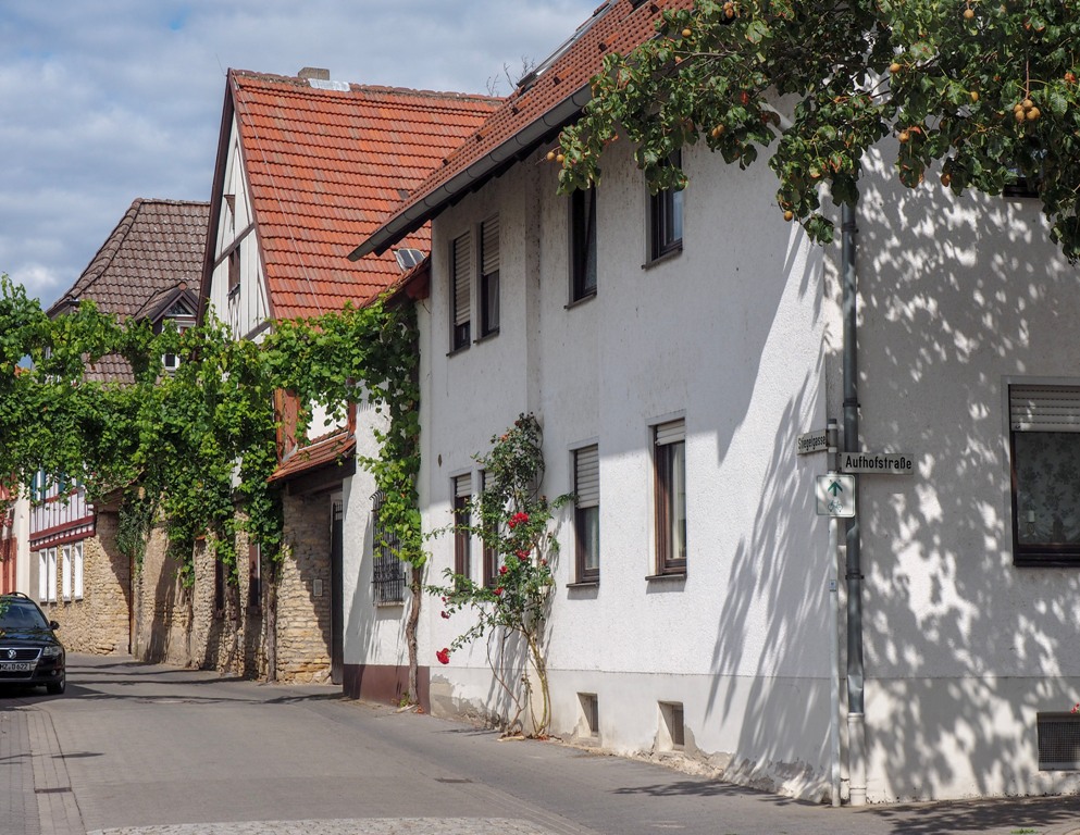 A visit to Ingelheim, the red wine hotspot of Rheinhessen and its ...