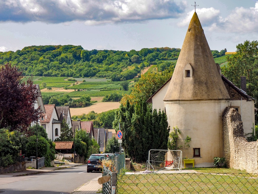 A visit to Ingelheim, the red wine hotspot of Rheinhessen and its ...