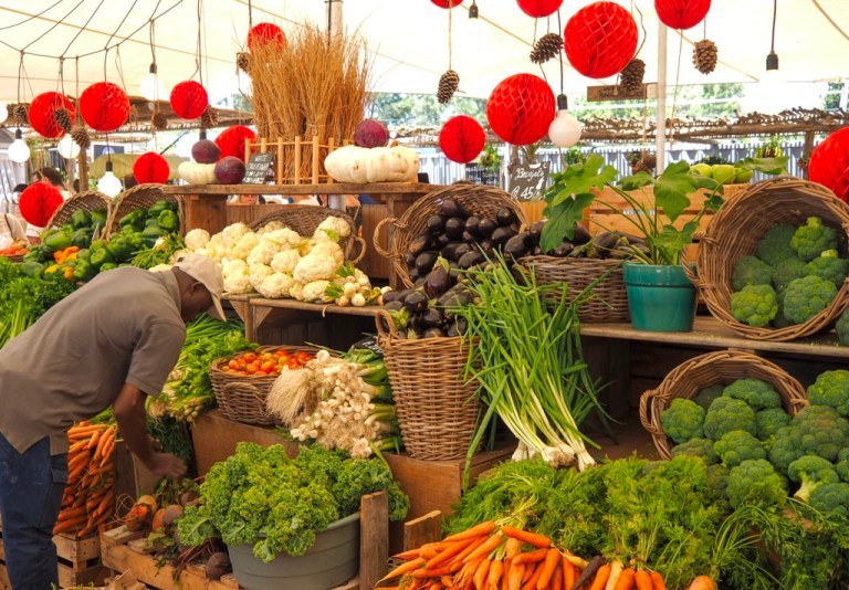 Top 5 places in Cape Town you must have seen – Carrots and Tigers
