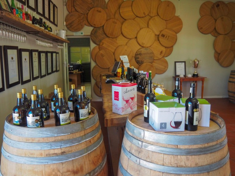 Exploring the Klein Karoo Wine Route in South Africa – Carrots and Tigers