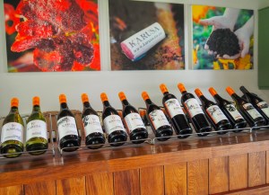 Exploring the Klein Karoo Wine Route in South Africa – Carrots and Tigers