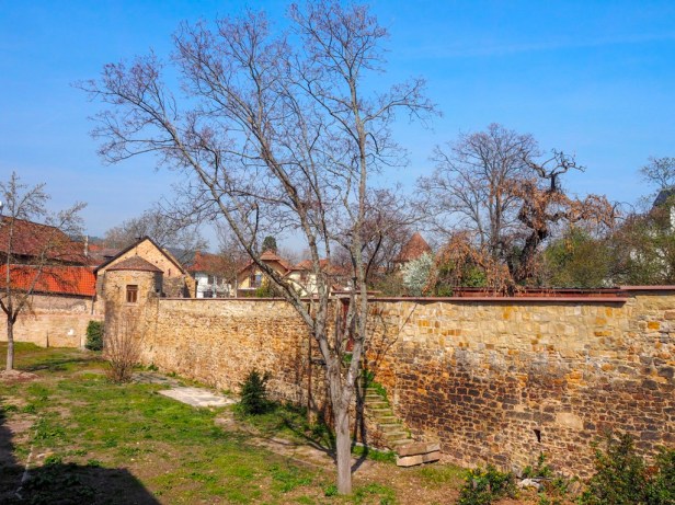 Why you need to visit Deidesheim on the German Weinstrasse – Carrots ...