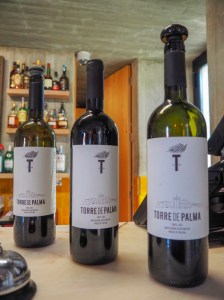 Your perfect starter guide to wine tasting in Alentejo – Carrots and Tigers