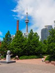 How to spend two amazing days in Toronto – Carrots and Tigers
