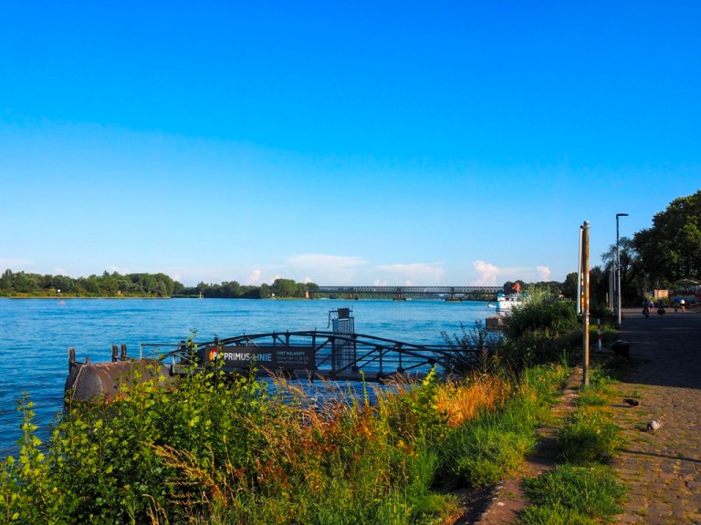 How to spend an unforgettable wine weekend in Mainz – Carrots and Tigers