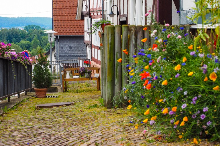 5 reasons you will love the German countryside – Carrots and Tigers