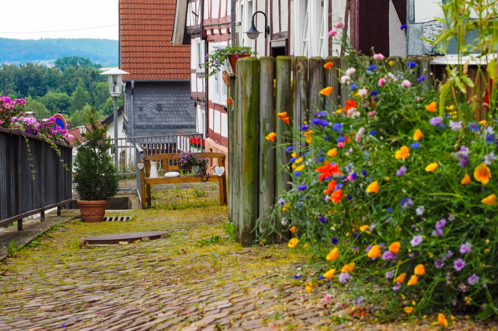 5 reasons you will love the German countryside – Carrots and Tigers
