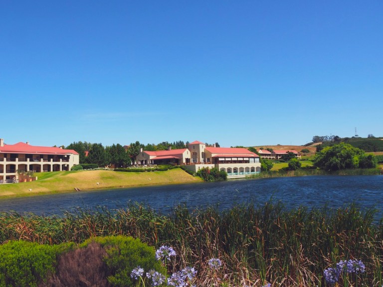 A luxury Cape Winelands stay at Asara Wine Estate and Hotel – Carrots ...