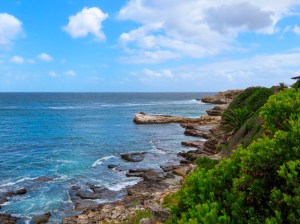 Best things to do in Hermanus beyond whale watching – Carrots and Tigers