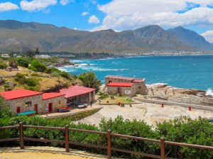 Best things to do in Hermanus beyond whale watching – Carrots and Tigers