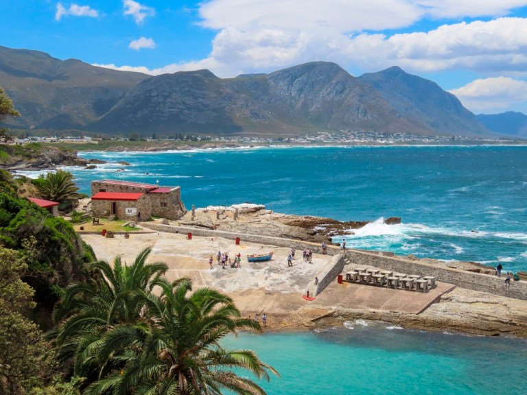 Best things to do in Hermanus beyond whale watching – Carrots and Tigers