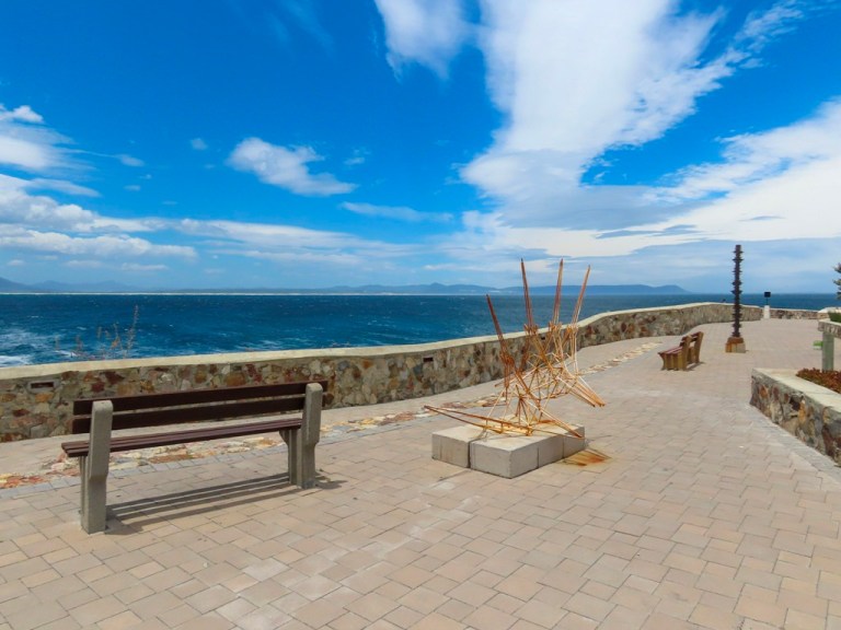 Best things to do in Hermanus beyond whale watching – Carrots and Tigers