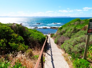 Best things to do in Hermanus beyond whale watching – Carrots and Tigers