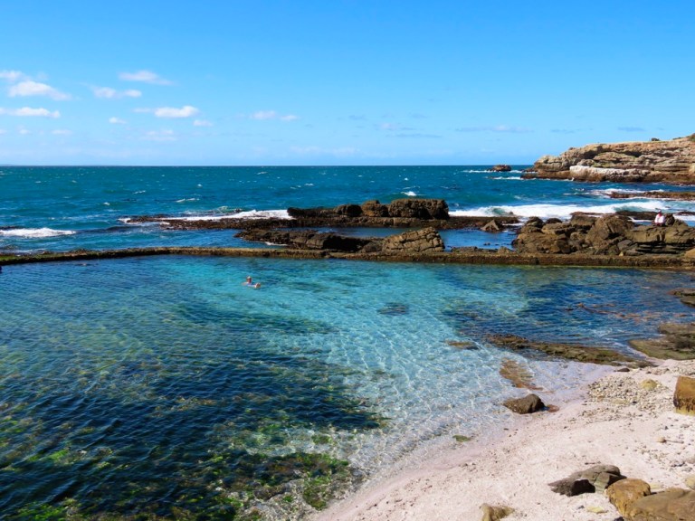 Best things to do in Hermanus beyond whale watching – Carrots and Tigers