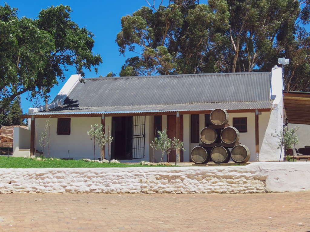 Discover Bot River, hidden gem of the Cape Winelands – Carrots and Tigers