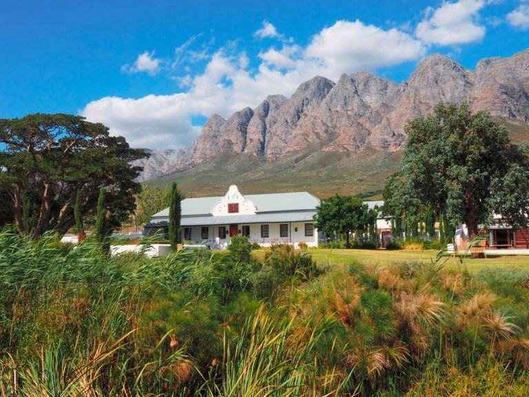 Bosjes Farm Review: A wonderful Winelands hideaway in the Breede River ...