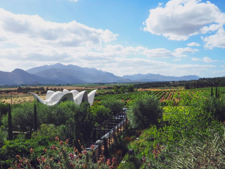 Bosjes Farm Review: A wonderful Winelands hideaway in the Breede River ...