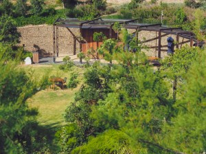 Bosjes Farm Review: A wonderful Winelands hideaway in the Breede River ...
