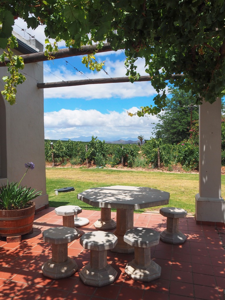 Exploring the Worcester Wine and Olive Route in the breathtaking Breede ...