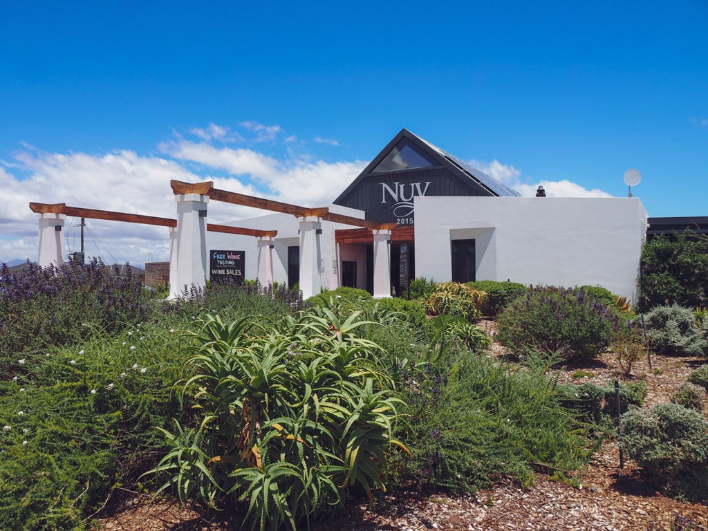 Exploring the Worcester Wine and Olive Route in the breathtaking Breede ...