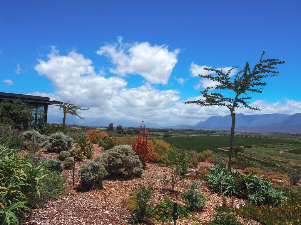 Exploring the Worcester Wine and Olive Route in the breathtaking Breede ...