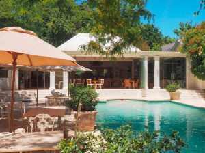 Eight cool things to do in Elgin Valley, South Africa – Carrots and Tigers