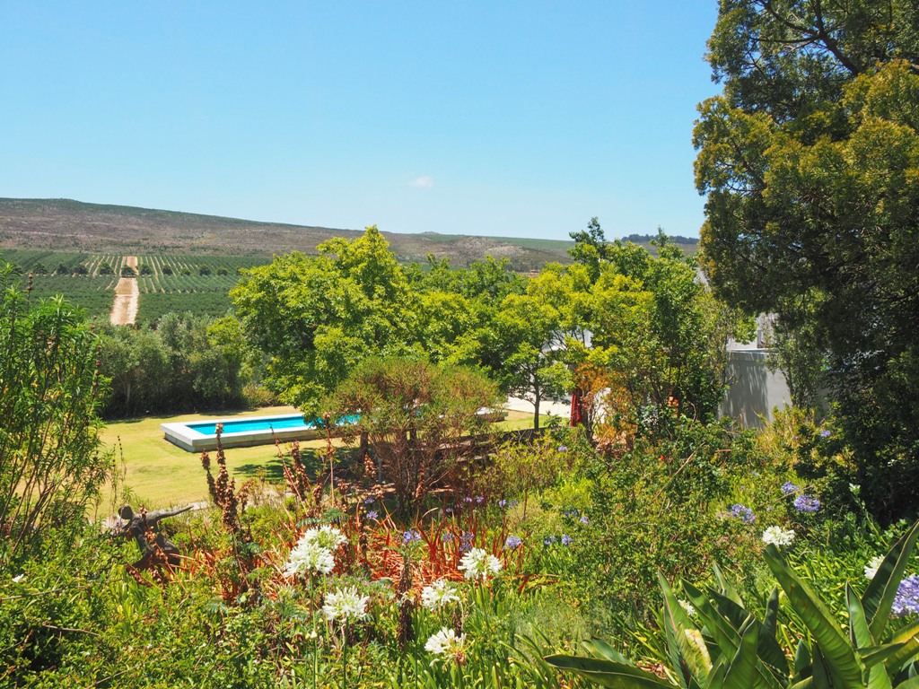 Eight cool things to do in Elgin Valley, South Africa – Carrots and Tigers