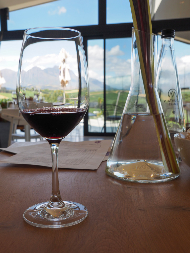 Discovering Louisvale Wines in Stellenbosch – Carrots and Tigers