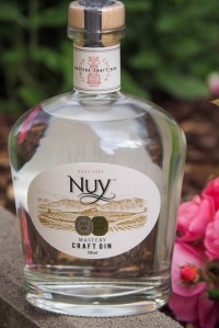 Four great craft gins to celebrate World Gin Day – Carrots and Tigers