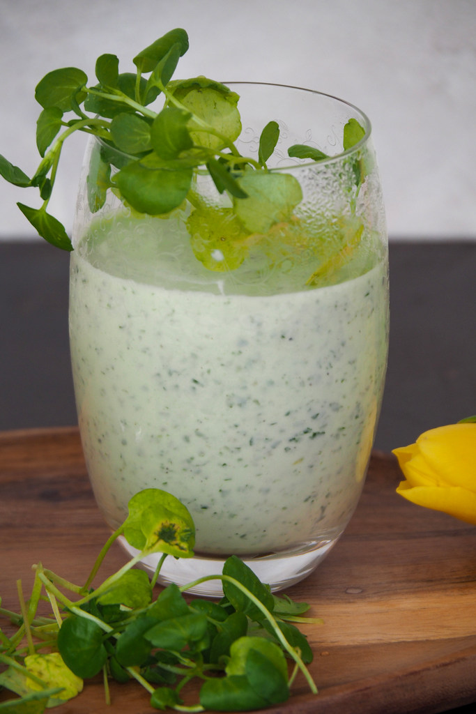 Watercress-Ricotta Mousse, the ultimate Spring antipasto recipe ...