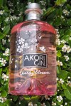 Akori Gin: A Japanese inspired drink experience – Carrots and Tigers