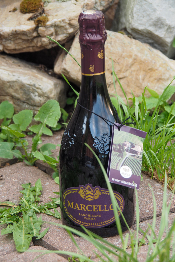 Introducing Lambrusco, the sparkling red wine from Italy – Carrots and ...