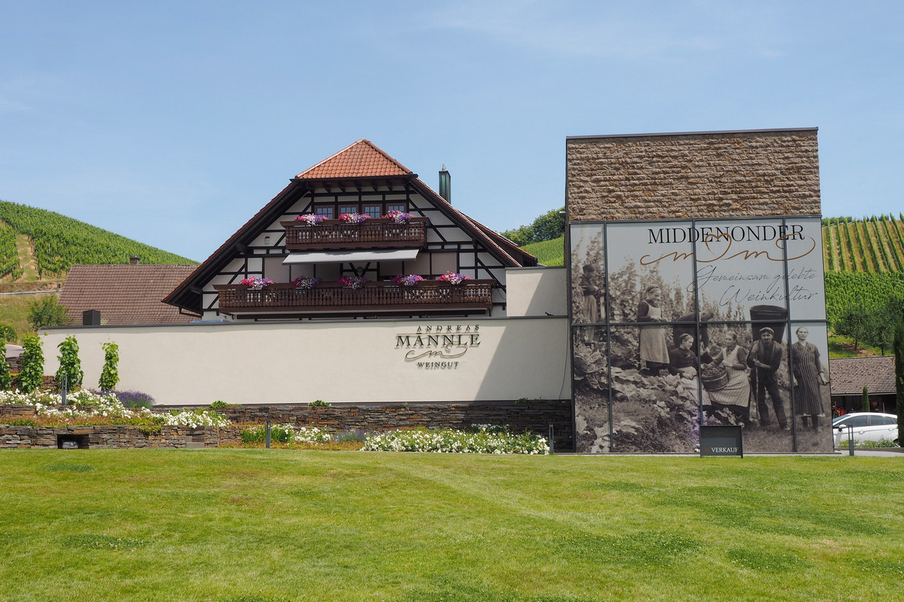 Five Exciting Durbach Wineries Worth To Travel For – Carrots and Tigers