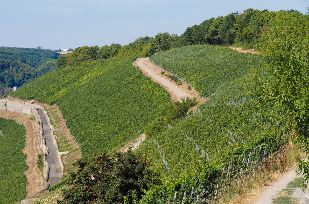 Steinburg Castle Hotel, Würzburg – Carrots and Tigers