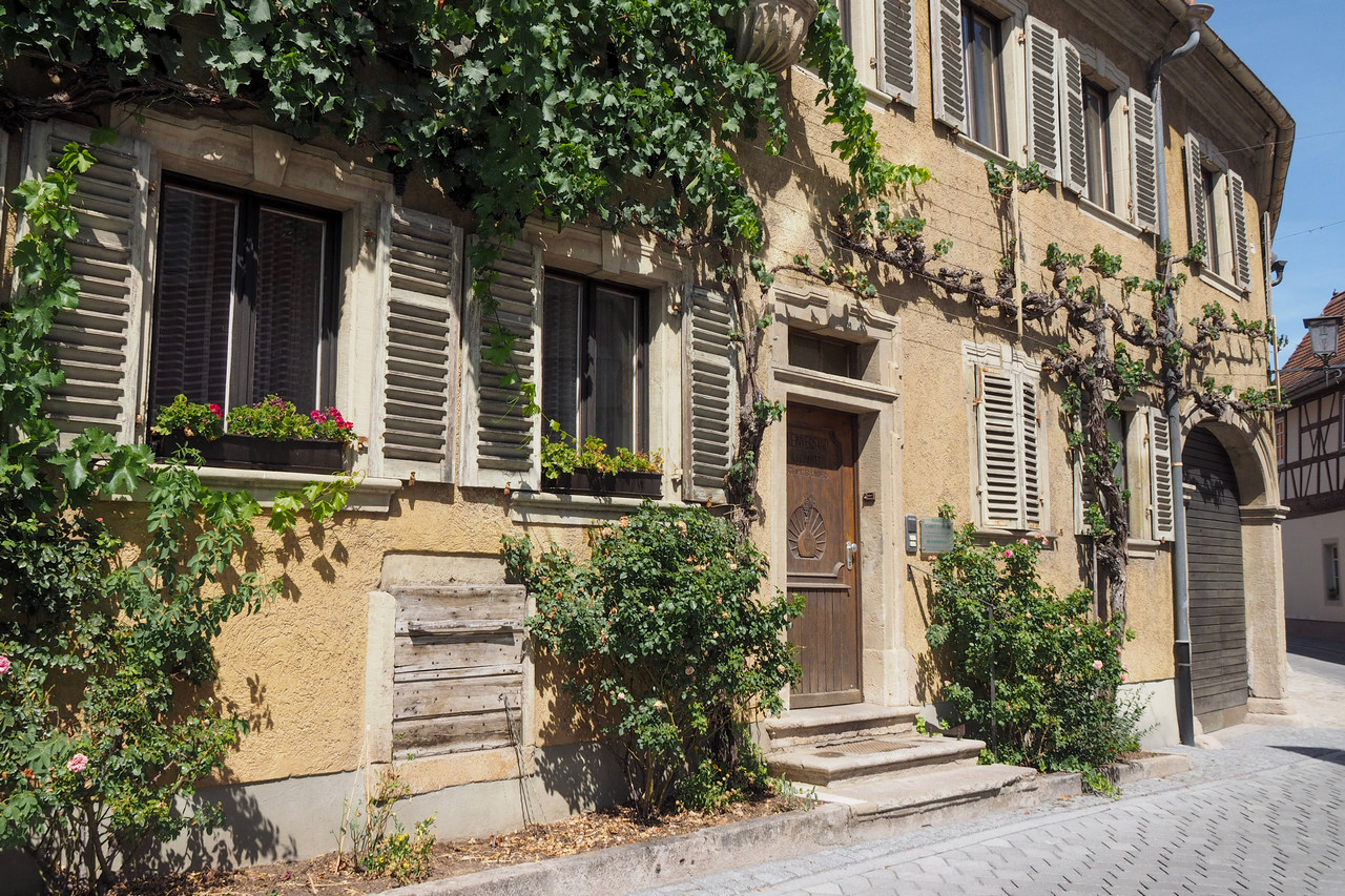 Get to know the little wine towns in Franken Wine Region: The Würzburg ...