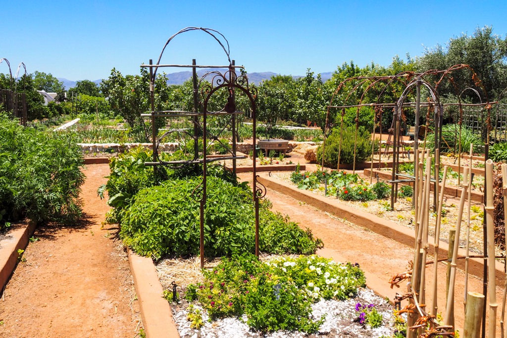 Farm-to-Table Restaurants with Rooms in the Cape Winelands