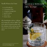 Needle BlackForest Dry Gin review and tasting notes