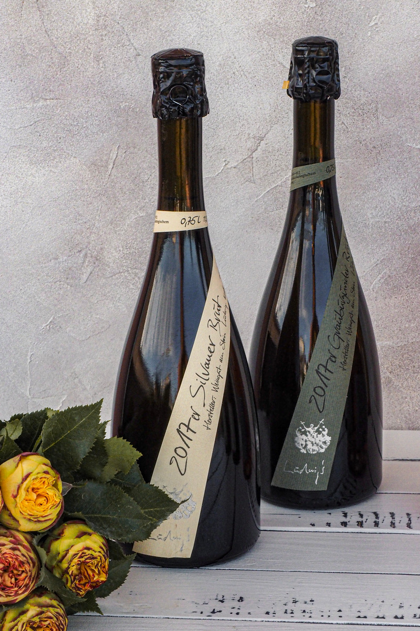 A visit to Weingut am Stein: Wine tasting and more