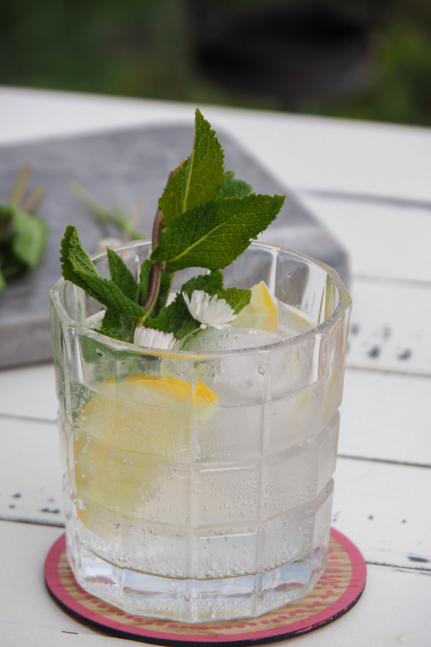 This Cinco de Mayo, swap the classic margarita for a glorious daisy ...