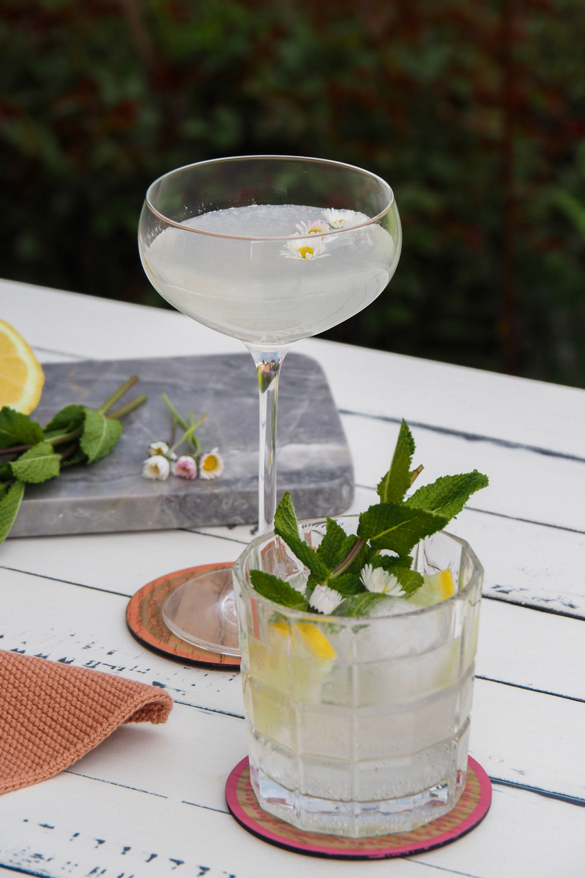 This Cinco de Mayo, swap the classic margarita for a glorious daisy ...