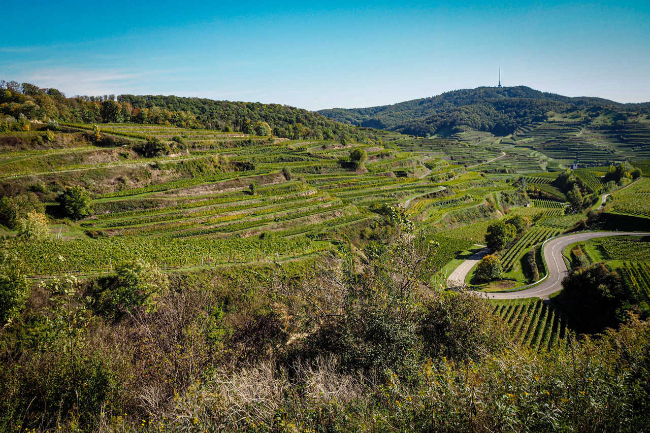 11 exciting reasons to be a wine tourist