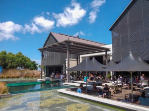 Celebrating Cap Classique sparkling wine from South Africa: A beginner ...