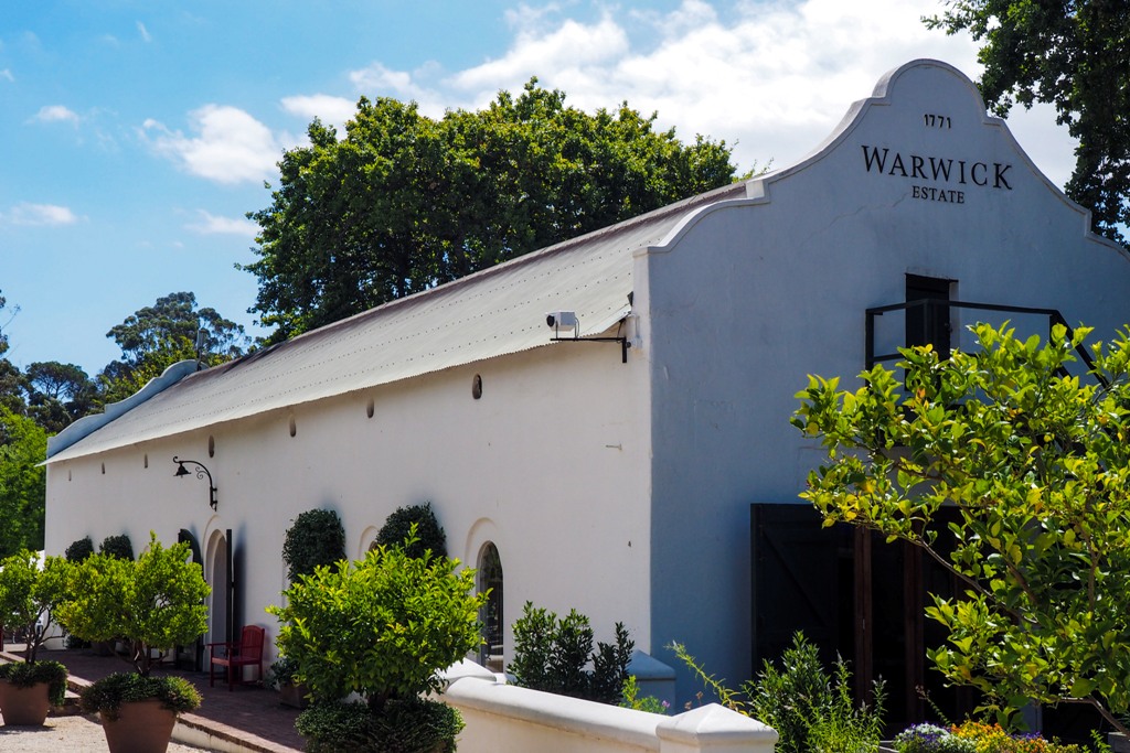Great Wines and Leisurely Picnics at Warwick Wine Estate