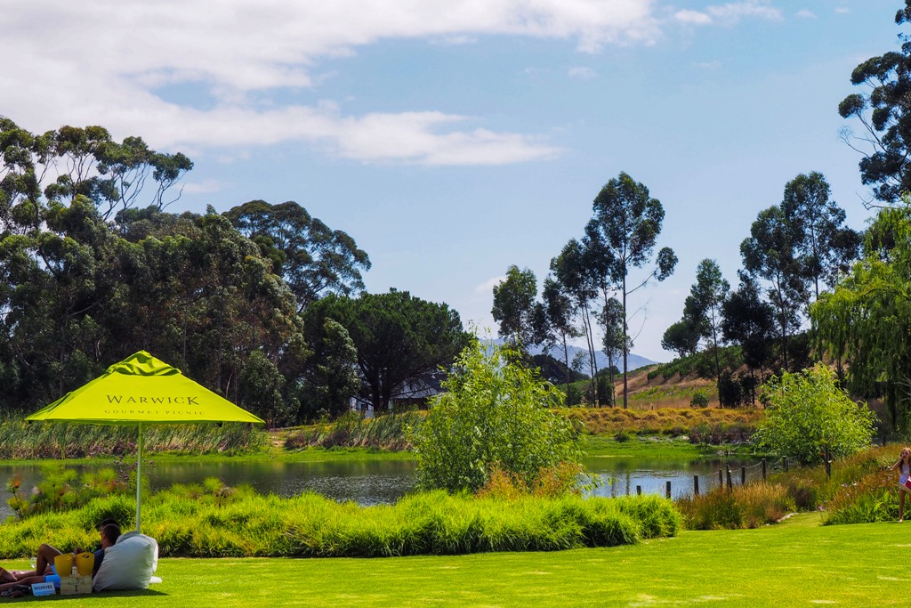 Great Wines and Leisurely Picnics at Warwick Wine Estate